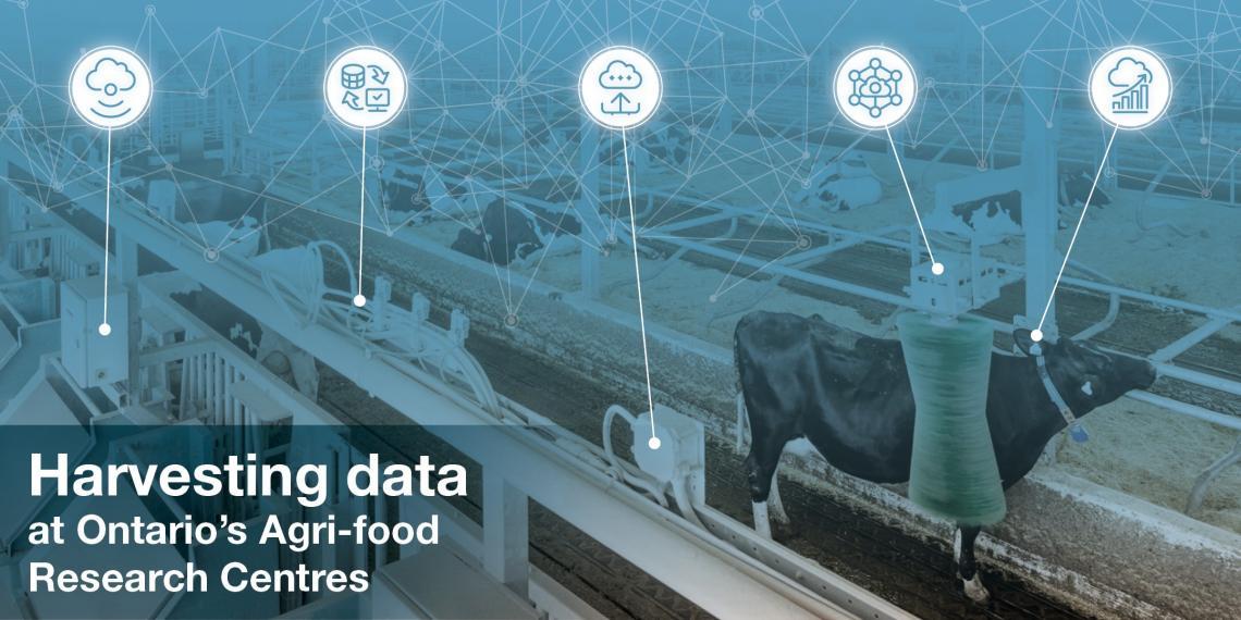 Join us for a webinar on harvesting data at Ontario's agri-food research centres | Ontario Agri ...